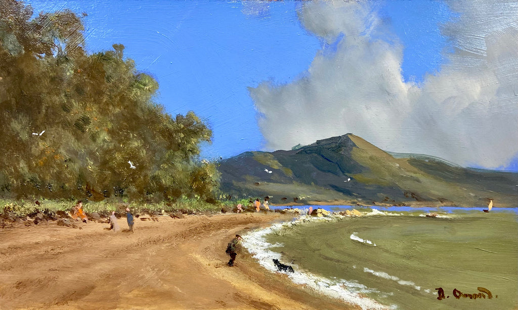 Summerin Rathmullan, Co.Donegal by David Overend – Irish Art Plus