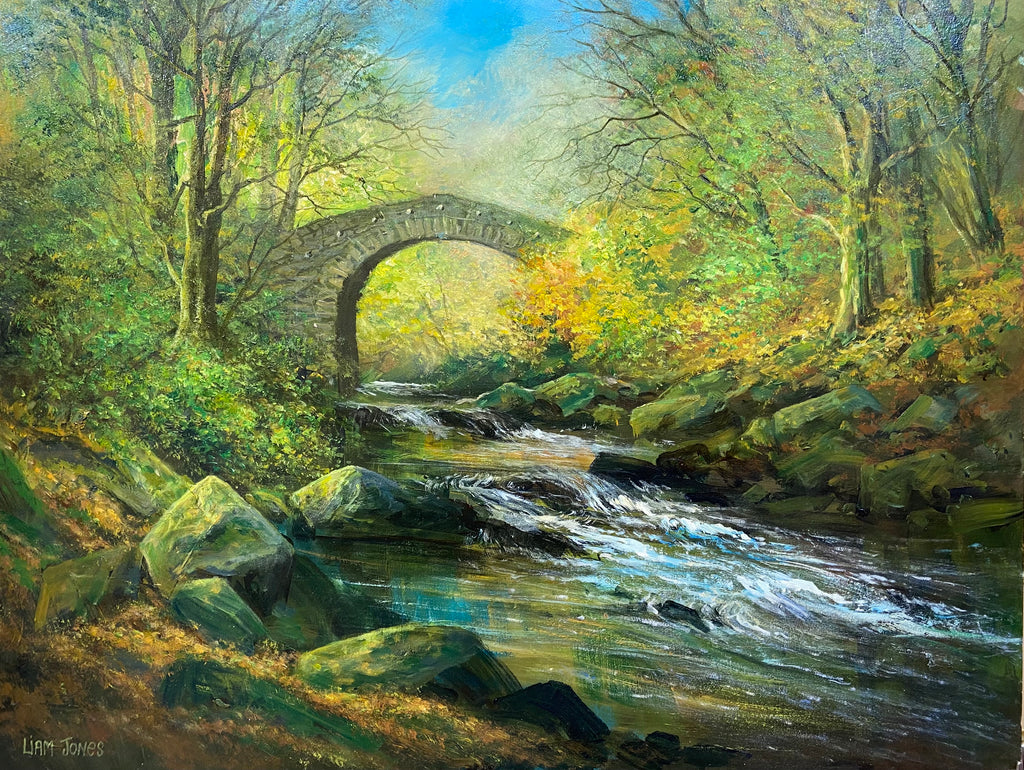 Foleys Bridge, Tullymore Forest Park, Co.Down by Liam Jones – Irish Art ...