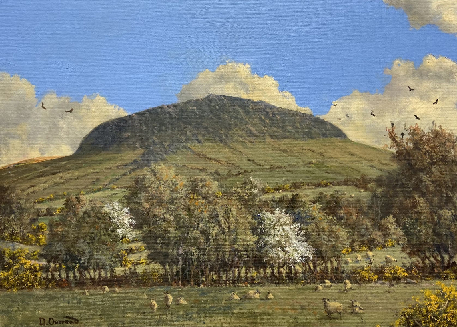 David Overend – Irish Art Plus